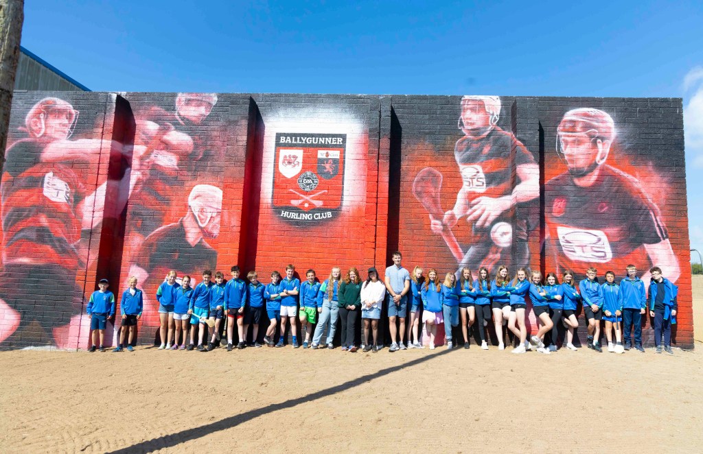 Murals for Connection at Ballygunner GAA - Creative Waterford
